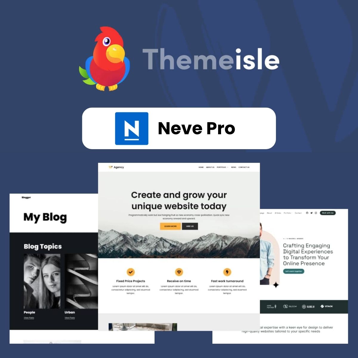 Themeisle Neve Pro - プレミアムWordPressテーマアドオン | PluginTheme.net