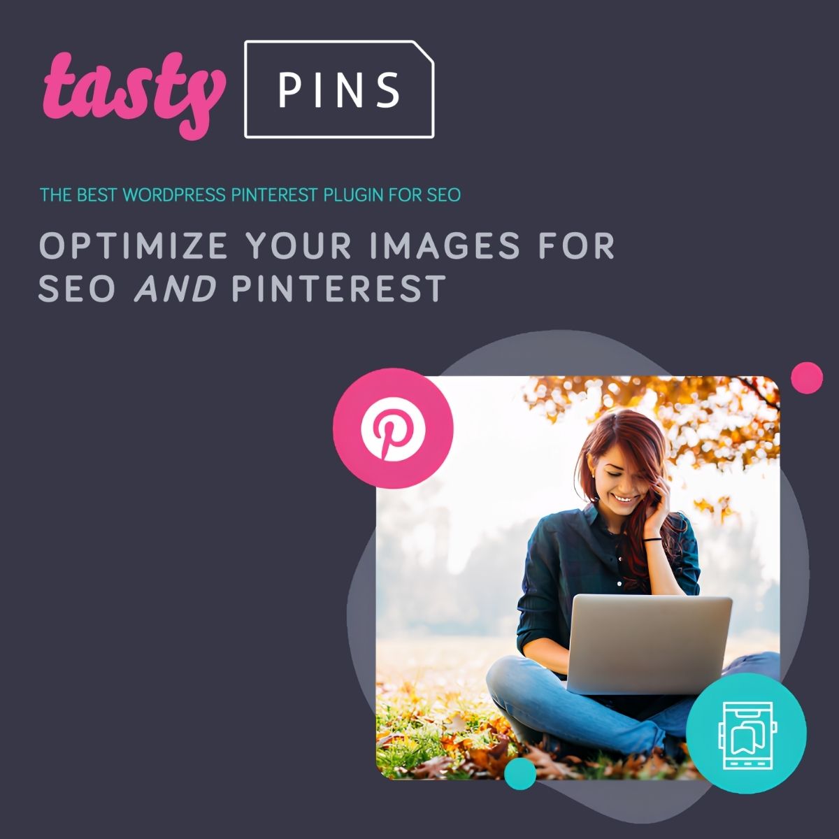 Tasty Pins Plugin - Optimize Images for Pinterest | PluginTheme.net